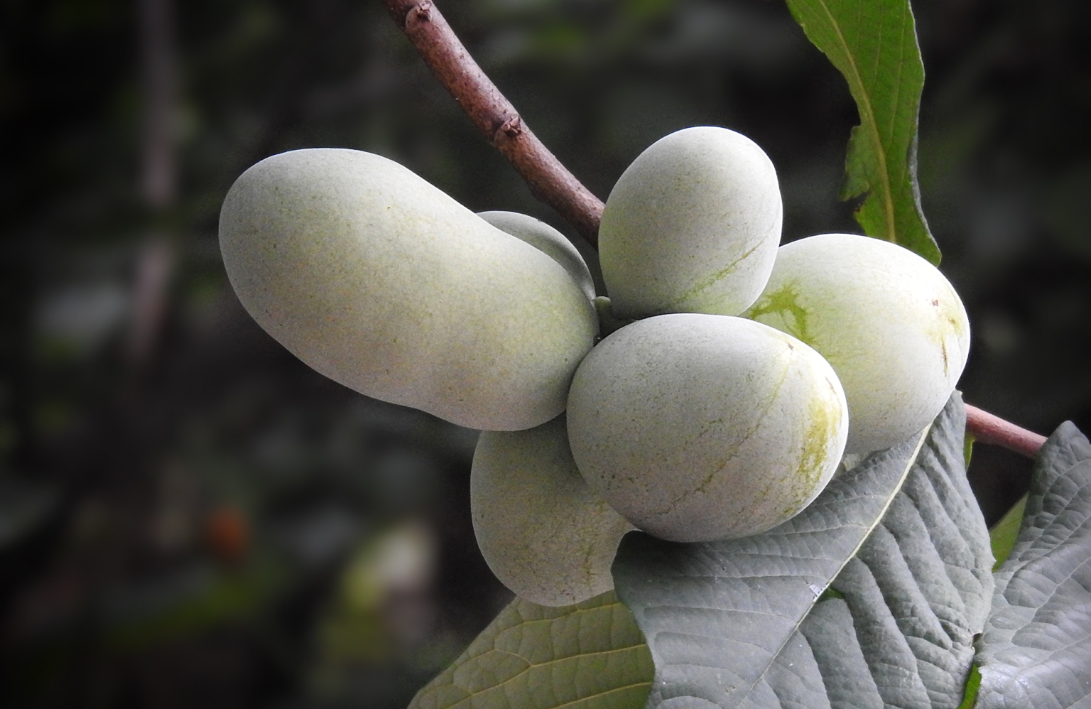 Learn Your Land with Adam Haritan