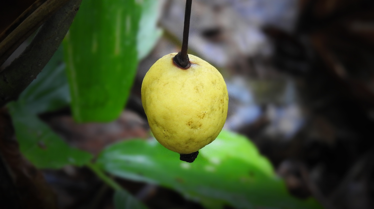 Learn Your Land with Adam Haritan