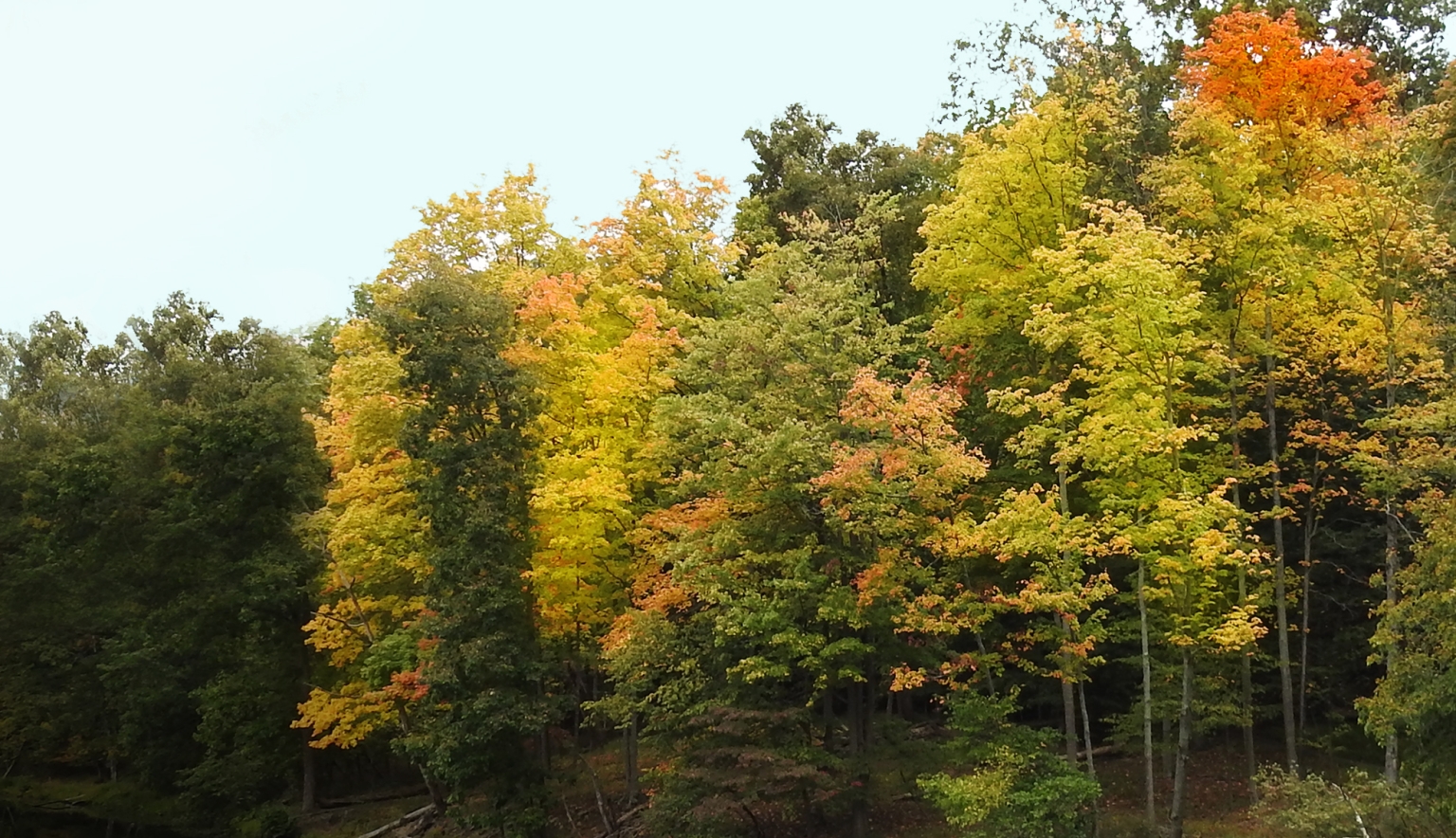 Learn Your Land with Adam Haritan