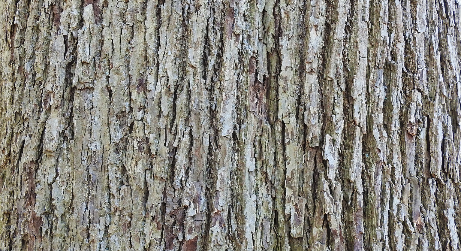 Learn Your Land with Adam Haritan